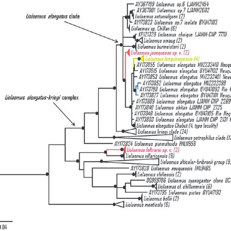 Bayesian Inference Of Phylogeny Bi Tree Based On Cyt B Showing