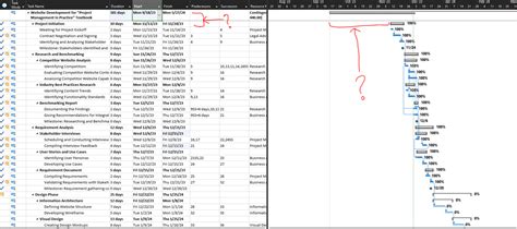 Need Help With Setting The Timeline Rmsproject