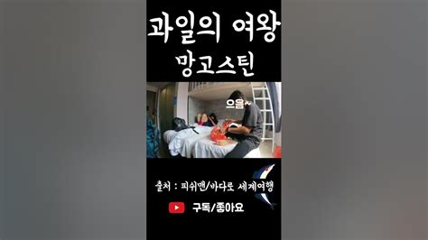 세상에서 가장 맛있는 과일 Youtube