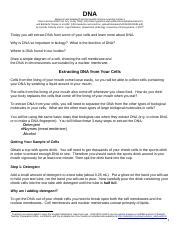 DNA Protocol DNA Based On And Adapted From The Genetic Science Learning Centers How To Extract