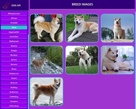 Dabhi Rutam On Linkedin Webdevelopment Frontend Api Bootstrap