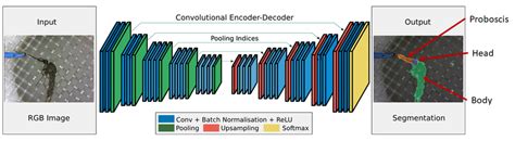 Network Architecture For Segmentation Along With Overlaid Segmentation Download Scientific