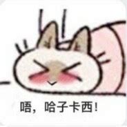 Steam Community Group Moemod Versus