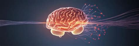 Scientific Illustration Brain Glowing Neuron Pathways Electrical Activity Nervous System Stock