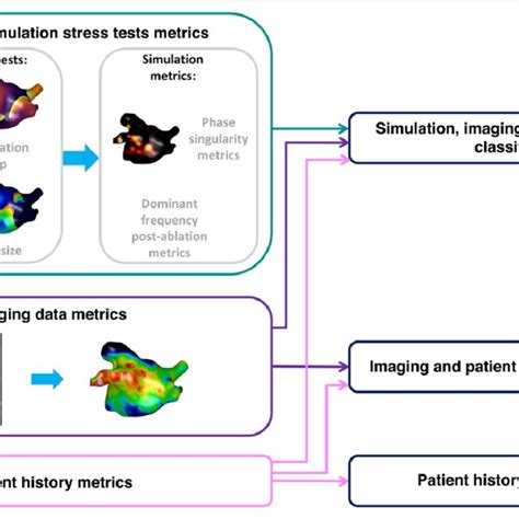 Schematic Methodology For Using Machine Learning To Combine Biophysical Download Scientific