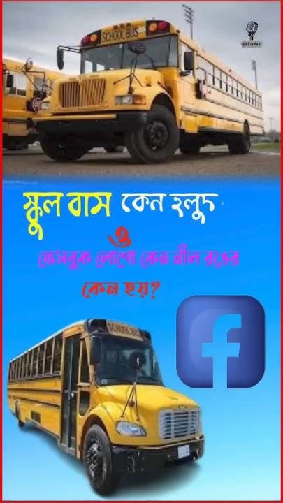 স্কুল বাস হলুদ ও ফেসবুক লোগো নীল রঙের কেন হয় Youtube