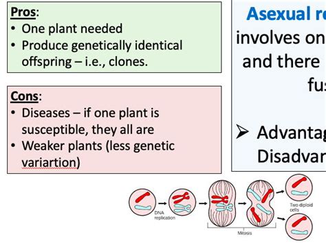 Sexual Vs Asexual Reproduction Aqa Gcse Biology Teaching Resources