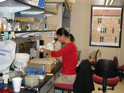 Zhihong Shang Xue Lab University Of Colorado Boulder