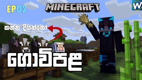වගාවක් දාමු🌿 Minecraft Sinhala Survival Guide Episode 03 Youtube