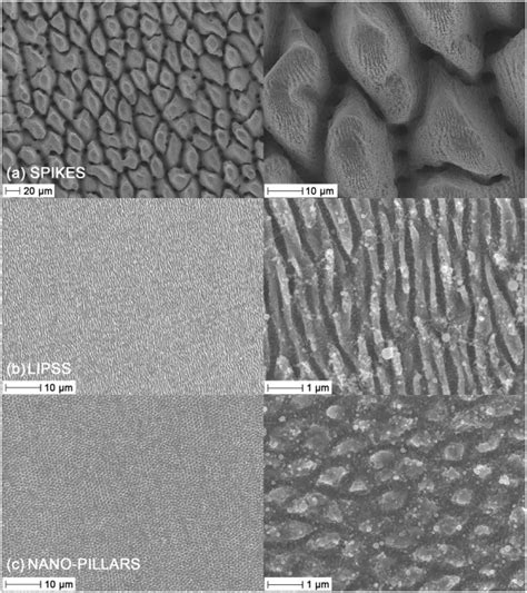 Towards Laser Textured Antibacterial Surfaces Scientific Reports