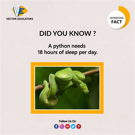 Fascinating Python Facts