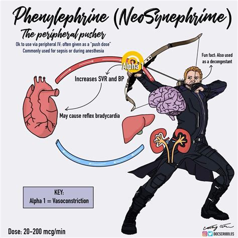 Vasopressors Commonly Used In The Icu Artofit