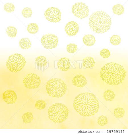 菊花花卉圖案 插圖素材 19769155 PIXTA圖庫
