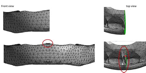 Symmetry Appearance Beta Options