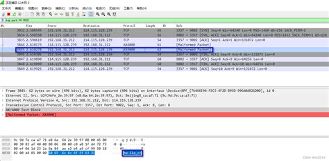 python socket udp test python csdn博客