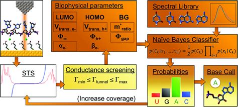 Schematic Flow Diagram Depicting The Modified Qmseq Base Calling