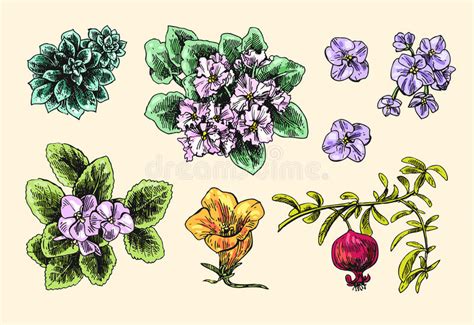 Hand Drawn Vector Seamless Pattern With Stock Vector Illustration Of Flower Abstract 92142123