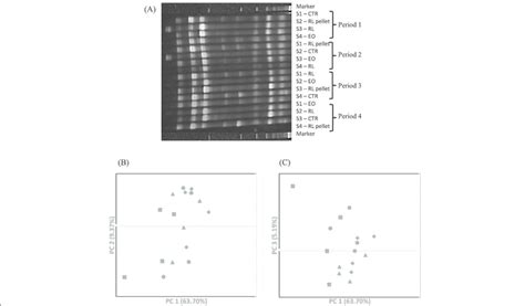 Dgge Profiles A And Pca Plots Of Archaea B And C S1 S2 S3 And