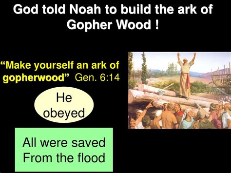 Ppt Noah And Gopher Wood Powerpoint Presentation Free Download Id 9177749