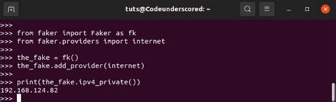 how to use faker in django code underscored