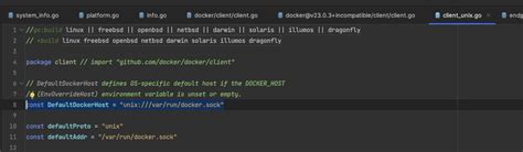 Warning Messages In Portainer Logs Caused By Dockersock Not Available