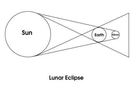 Css Solved General Science And Ability Past Paper 2015