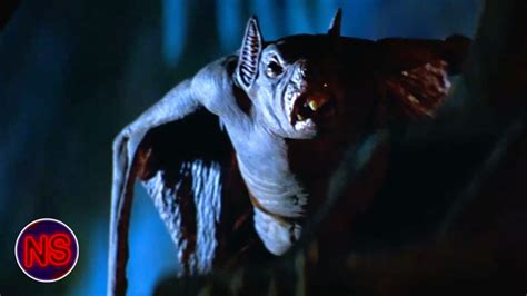 Look A Bat Bats 1999 Now Scaring Youtube