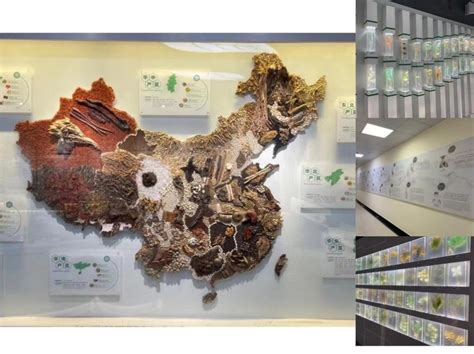 精准对接，共谋发展——药学院（深圳）参观访问深圳市药品检验研究院 中山大学药学院（深圳）