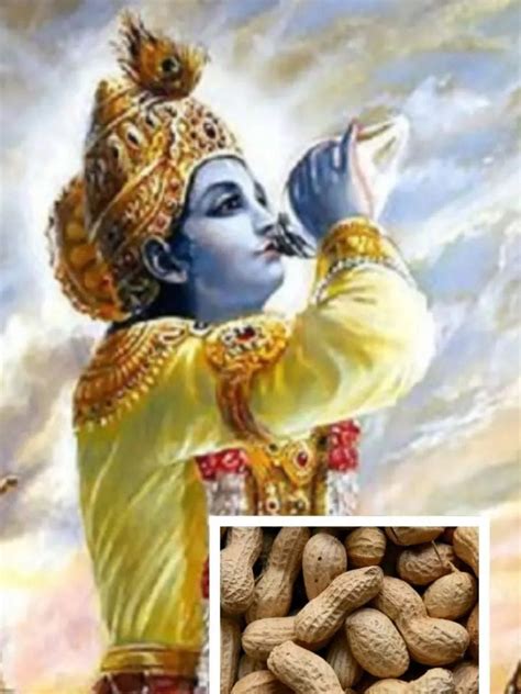 Mahabharat Yudh Shri Krishna Eat Peanuts Everyday During 18 Days Of