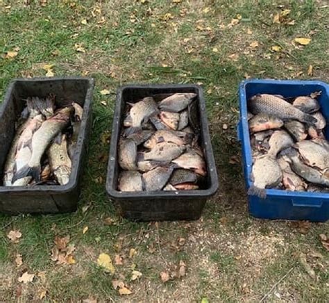 Порушники на Київщині завдали збитків рибному господарству на понад 340 тисяч ФОТО