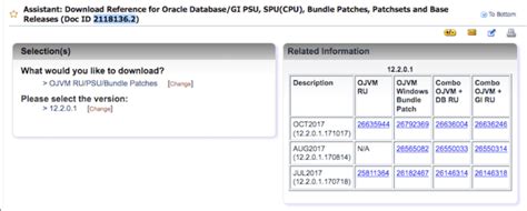 Are Ojvm Patches Included In The Oracle 12 2 Ru Rur