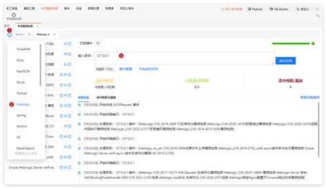 专项漏洞检测 yak program language
