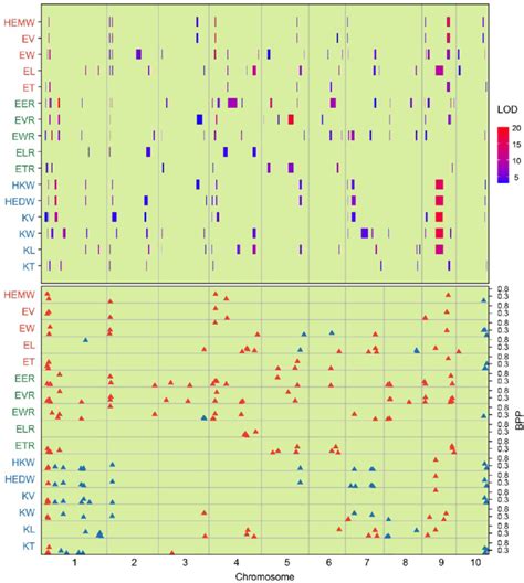 Qtl Mapping Results For 16 Embryo Size And Related Traits By Jlm Download Scientific Diagram
