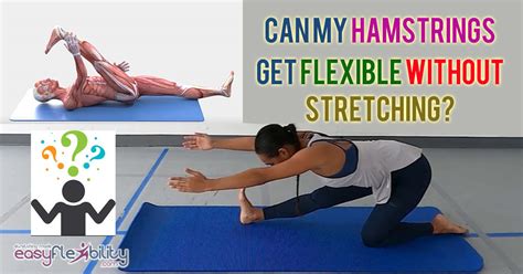 Can My Hamstrings Get Flexible Without Stretching — Elasticsteel