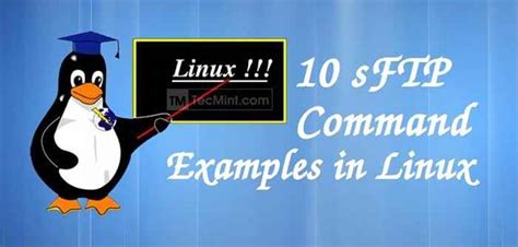 10 Contoh Perintah Sftp Untuk Mentransfer File Di Server Jarak Jauh Di