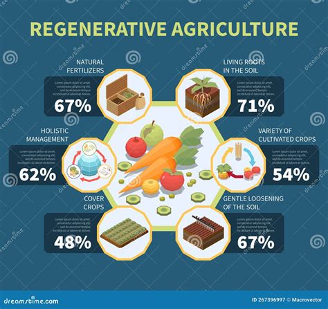 Regenerative Agriculture Infographics Stock Illustration