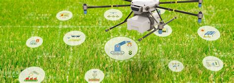 Ai Crop Monitoring The Power Of Image Annotation