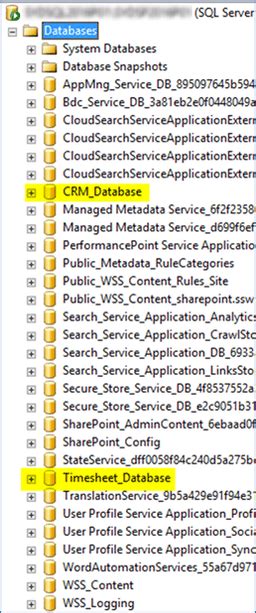 Do You Keep Sharepoint Databases In A Separate Sql Instance Ssw Rules