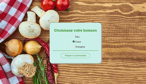 TUTO Apprendre à personnaliser une checkbox en CSS sur Tuto com