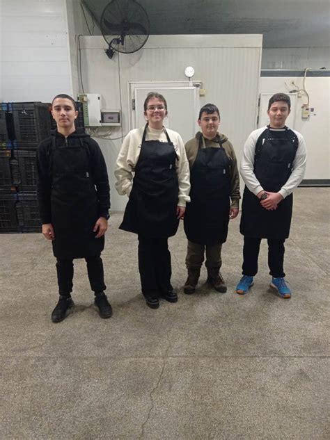 „Подкрепа за дуалната система на обучение“ СУ Христо Ботев Белоградчик