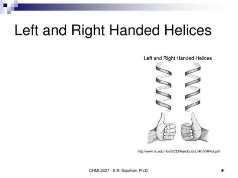 Ppt Alpha Helix Structure In Proteins Powerpoint Presentation Free