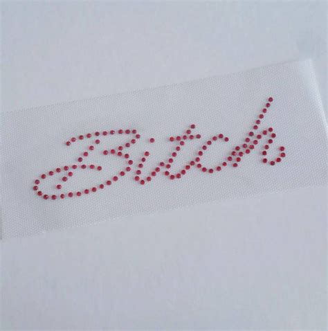 Bitch Appliqué Bitch Script Word Bling Bitch Rhinestone Iron Etsy