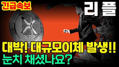 리플 Xrp 긴급속보 대닥 대규모이체 발생 눈치 채셨나요 Youtube