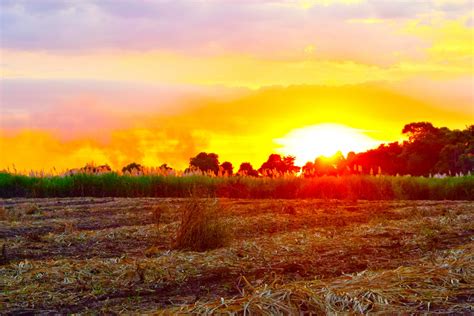 무료 이미지 일몰 국가 자연 경관 해돋이 태양 햇빛 들 수평선 목초지 저녁 잔디 가족 잔광 구름 나무 생태 지역 경치 농촌 지역 평원