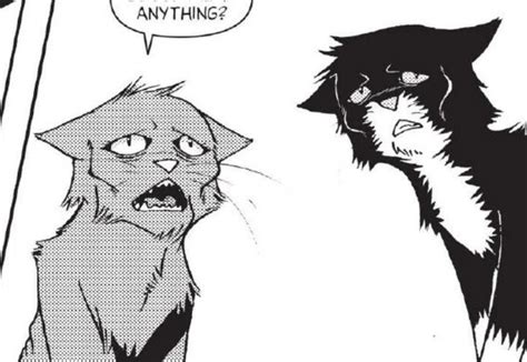 Characters In Warrior Cats Others Tv Tropes