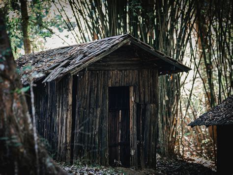 Old Scroll Background Photos Download The Best Free Old Scroll