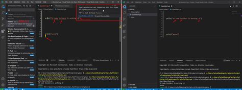 Python Extension Breaks Co Editing Issue Microsoft Live Share