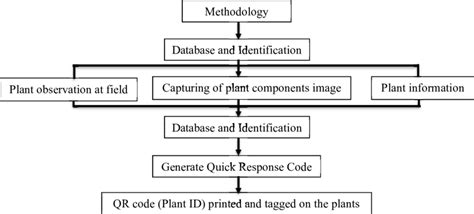 The Proposed 2pid Plant Tagging Flowchart Download Scientific Diagram