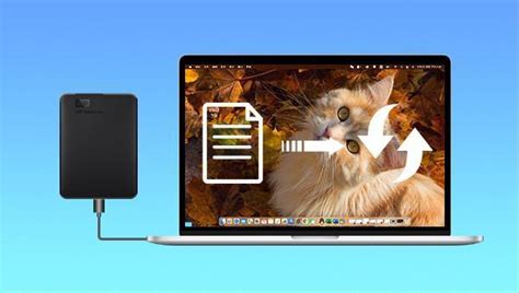 Recover Deleted Formatted Files From Mac S External Hard Drive Rene E Laboratory