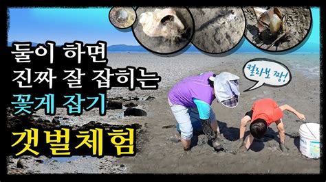 할머니랑 거누랑 마구 꽃게 잡기 And 갯벌체험 하기feat갯벌 생물인천 강화도 Youtube